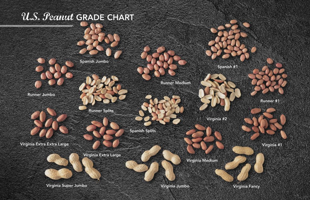 Happy Fourth of July! アメリカ人のカラダはピーナッツでできている？ニュースレターを配信しました。 | アメリカンピーナッツ協会